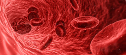 Understanding the Different Types of Vascular Diseases | Washington ...